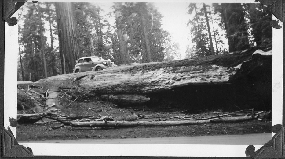 California | 1937 Honeymoon Take-2